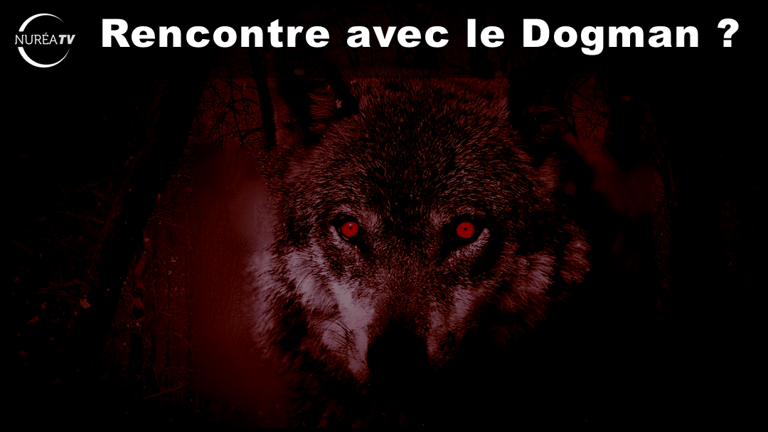 Rencontre avec le Dogman ? (Ismaël) - NUREA TV