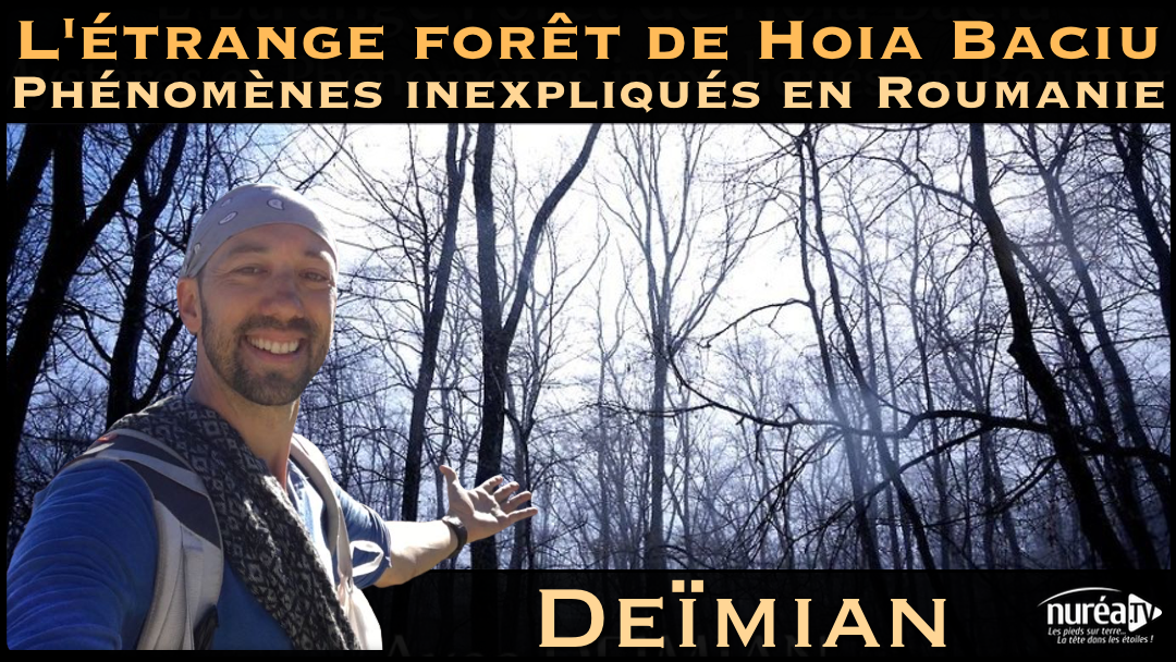 « L' Étrange Forêt de Hoia Baciu : Phénomènes Inexpliqués en Roumanie ...